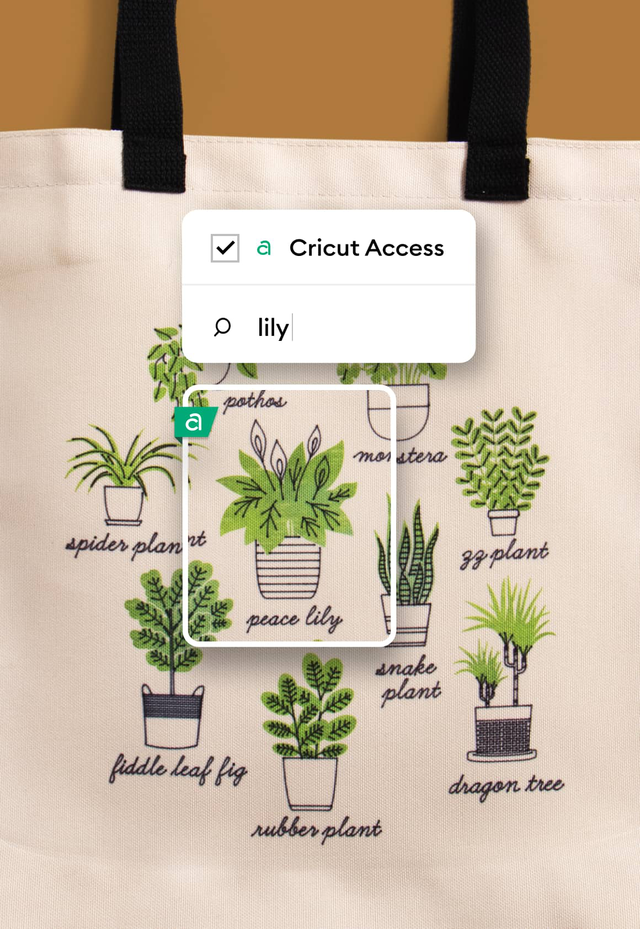 Cricut access store