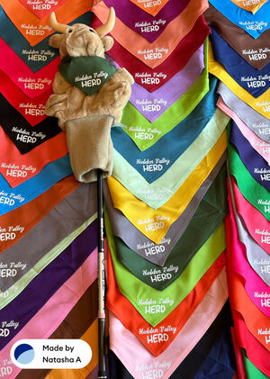 Projects | Cricut Shop