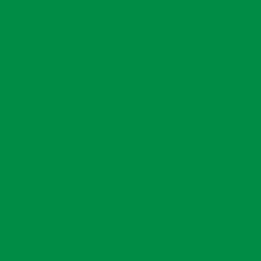 Green Cricut Premium Removable Vinyl