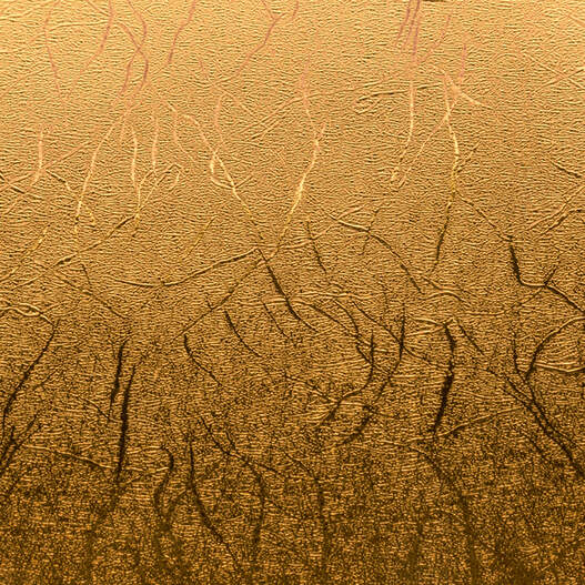 Gold Textured Metallic - Cricut Premium Vinyl