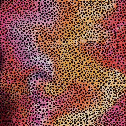 Colorful Cheetah Pattern